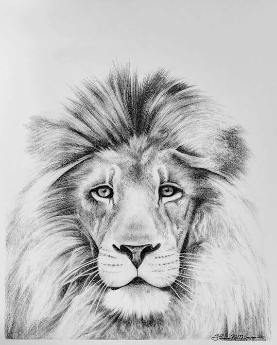 Lion Of Judah Drawing