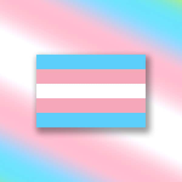 Trans Bumper Sticker - Etsy