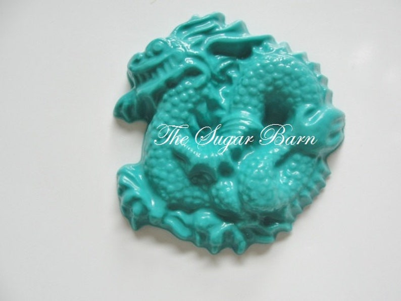 DRAGON CHOCOLATE CANDY12 CountReptile PartyDragon Party | Etsy