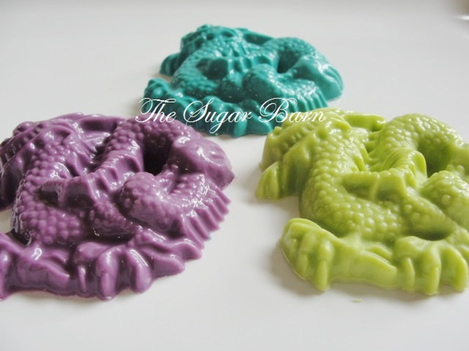 DRAGON CHOCOLATE CANDY12 CountReptile PartyDragon Party | Etsy