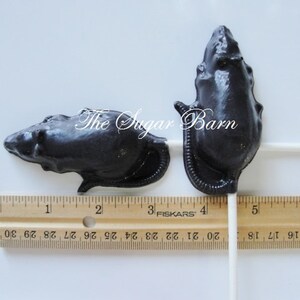 RAT CHOCOLATE Lollipops12 Counthalloween Party Favorsmad ...