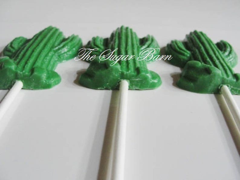 CACTUS CHOCOLATE Lollipops12 Ctwestern Party Favorscactus - Etsy
