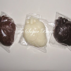 Human HEART SOLID CHOCOLATE Pieces24 Countcardiologistmedical ...