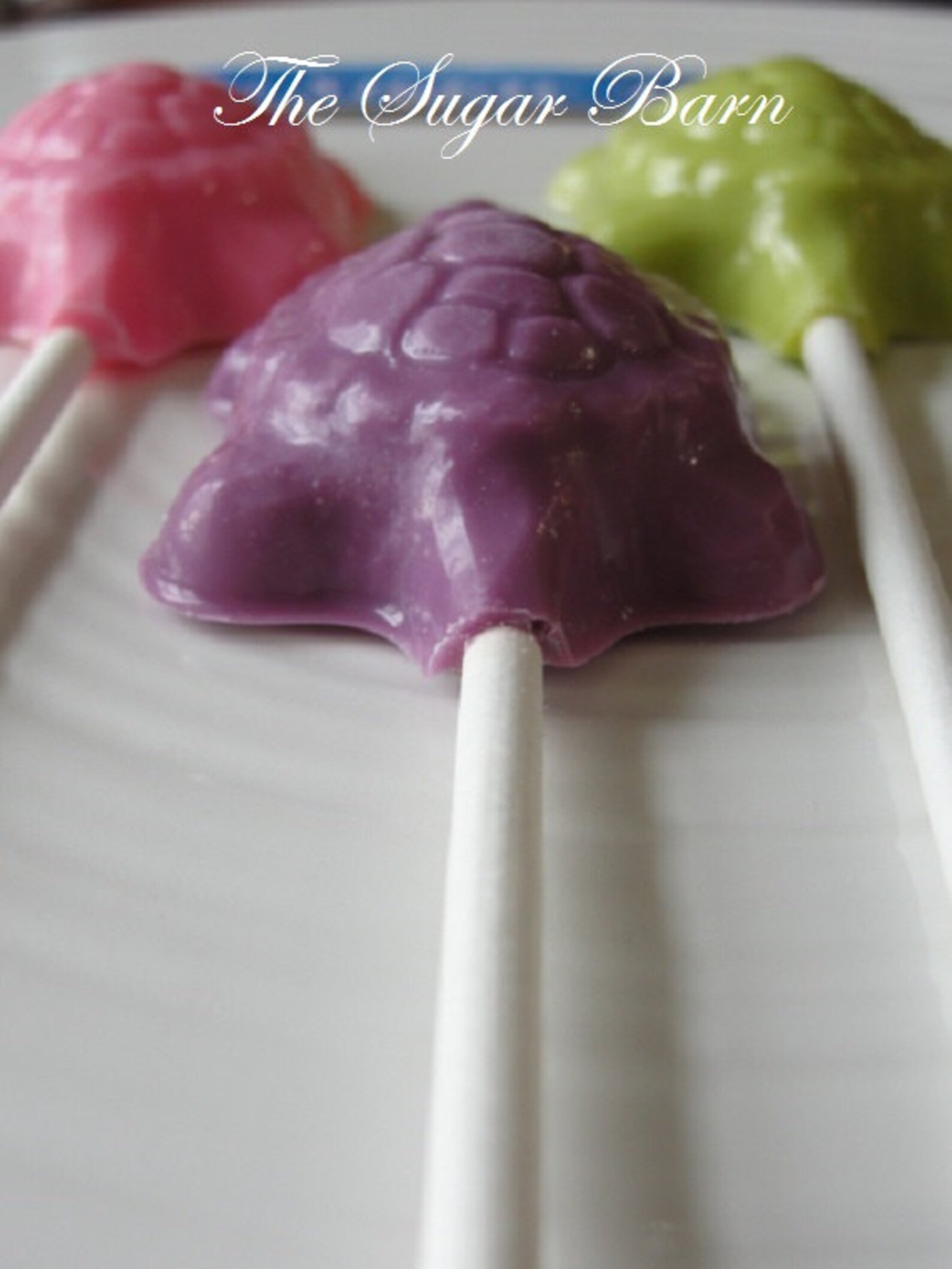 TURTLE CHOCOLATE Lollipops15 Countbirthday Party - Etsy