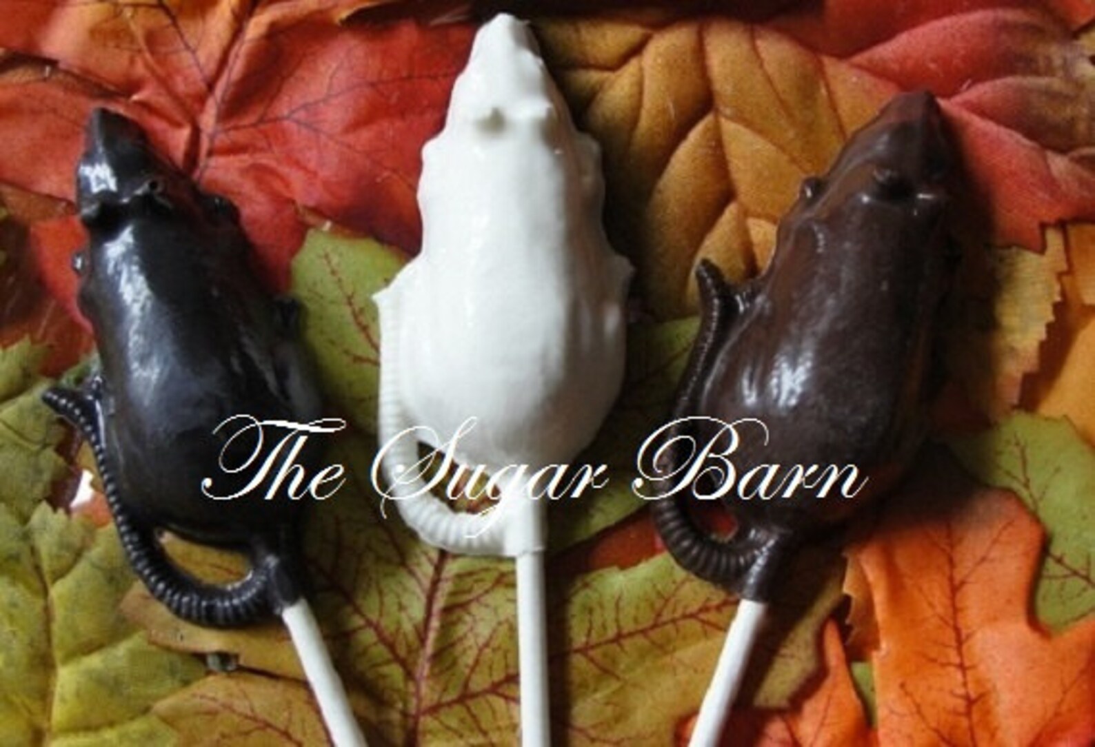 RAT Chocolate Lollipops12 Counthalloween Party Favorsmad | Etsy