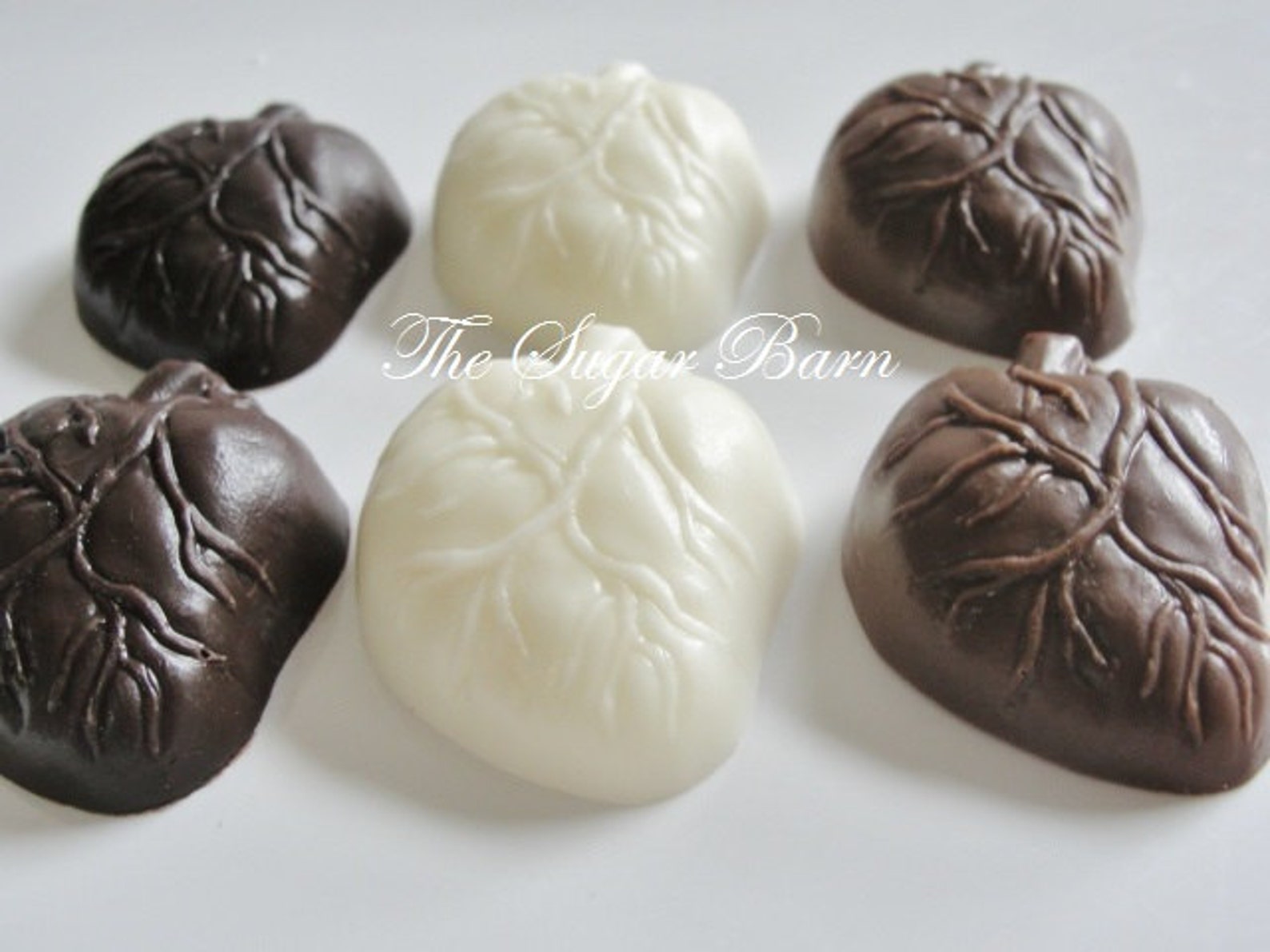 Human HEART SOLID CHOCOLATE Pieces24 Countvalentine's - Etsy