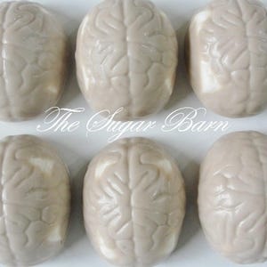 BRAIN CHOCOLATE Covered MARSHMALLOW10 Countdoctor Giftneurologistmad ...
