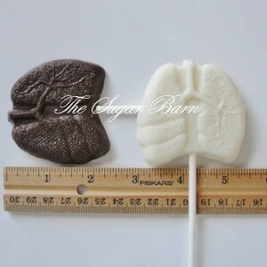 LUNGS CHOCOLATE Lollipop12 Countlung Specialistlung ...