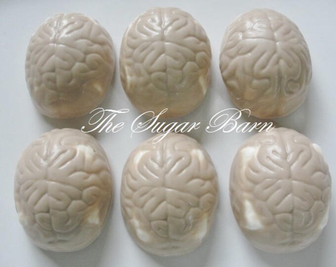 BRAIN CHOCOLATE Covered MARSHMALLOW10 Countdoctor Giftneurologistmad ...