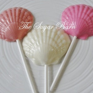 SEASHELL CHOCOLATE Lollipops12 Countbeach Party Favorwedding ...