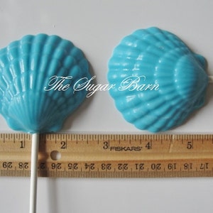 SEASHELL CHOCOLATE Lollipops12 Countbeach Party Favorwedding ...