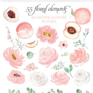 Elements Blush Pink Flowers, Peaches. Watercolor Clipart. Pink Tiles ...