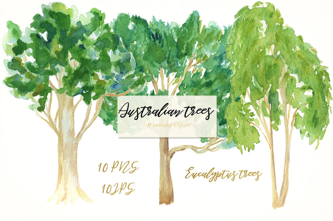 Australian native trees. Watercolor clip art. Digital | Etsy