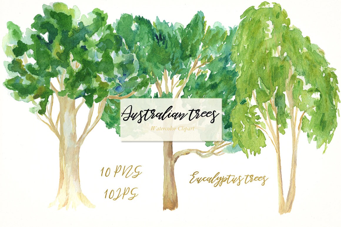 Australian Native Trees. Watercolor Clip Art. Digital - Etsy Canada