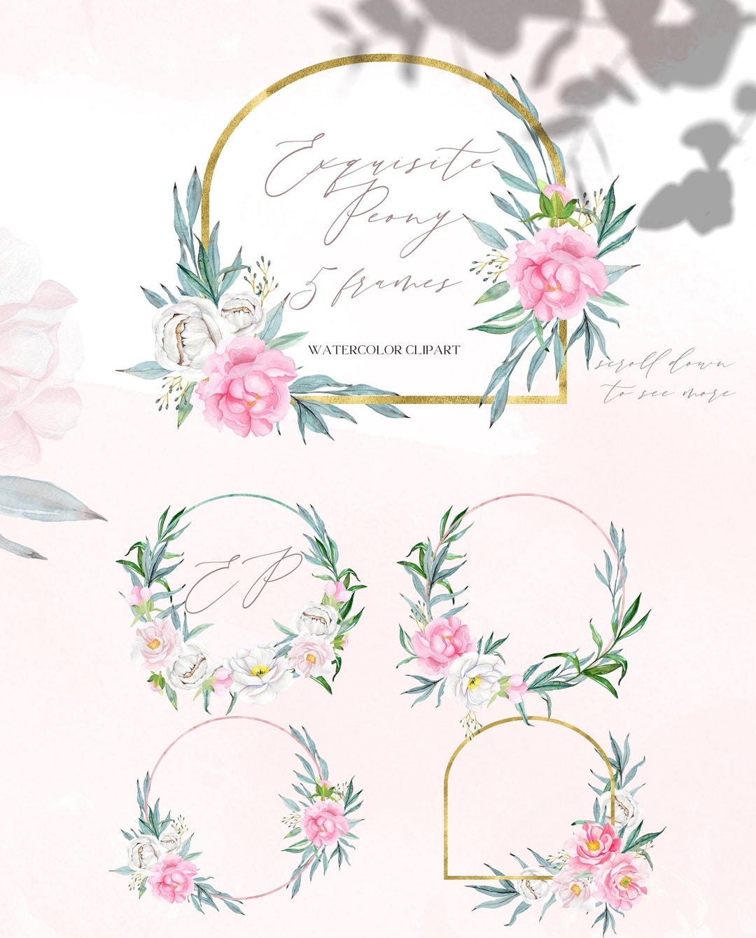 Peonies Frames. Exquisite Peony Watercolor Clipart. Soft Pink & White ...