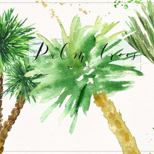 Palm TREES. Watercolor Clip Art. Digital Watercolours Clipart Hand ...