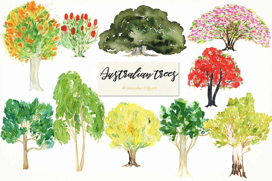 Australian Native Trees. Watercolor Clip Art. Digital Watercolours ...