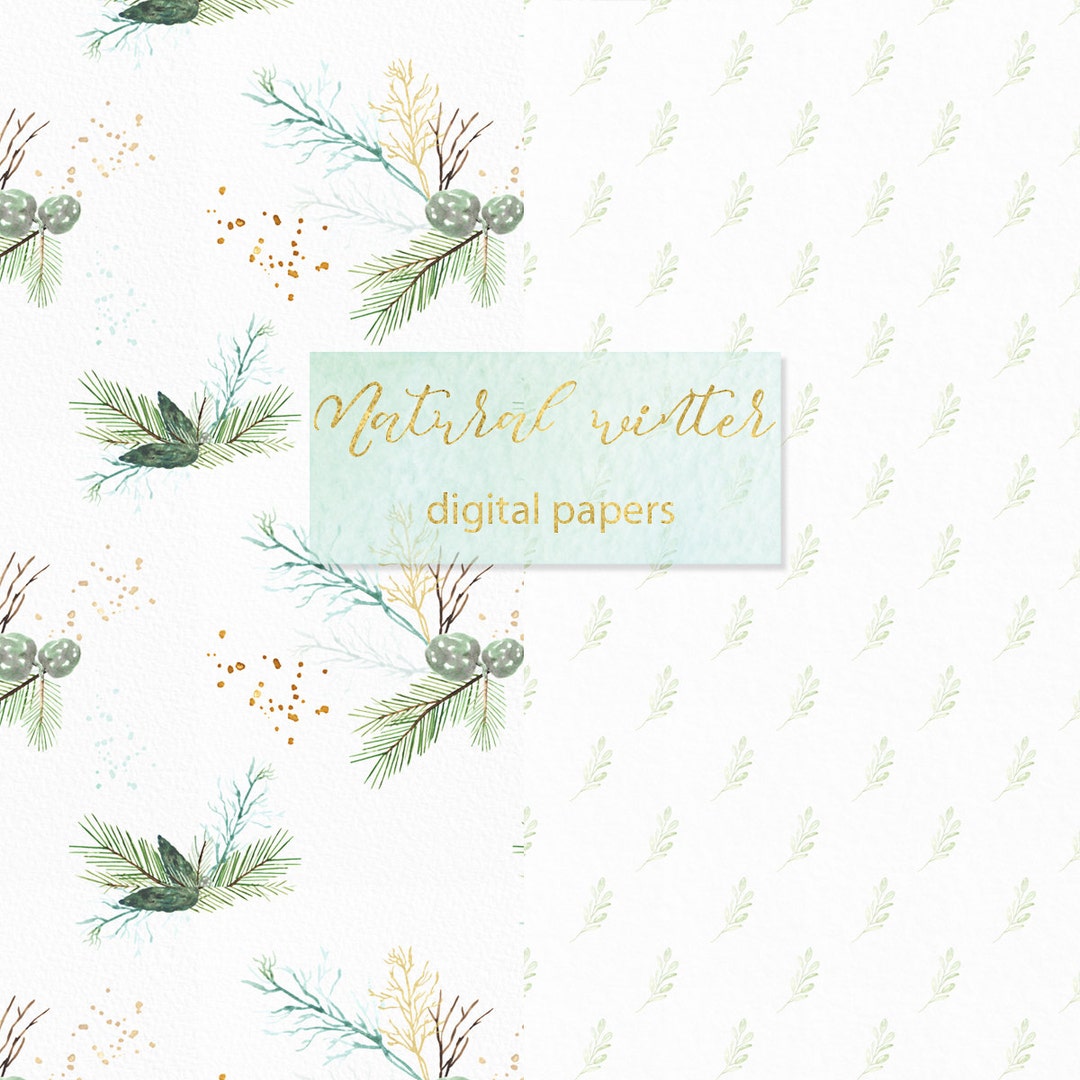 DIGITAL PAPER Natural Winter Forest. PINE Watercolor Paper Winter ...