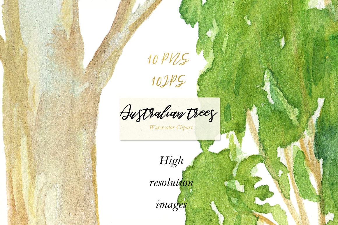 Australian Native Trees. Watercolor Clip Art. Digital - Etsy Canada