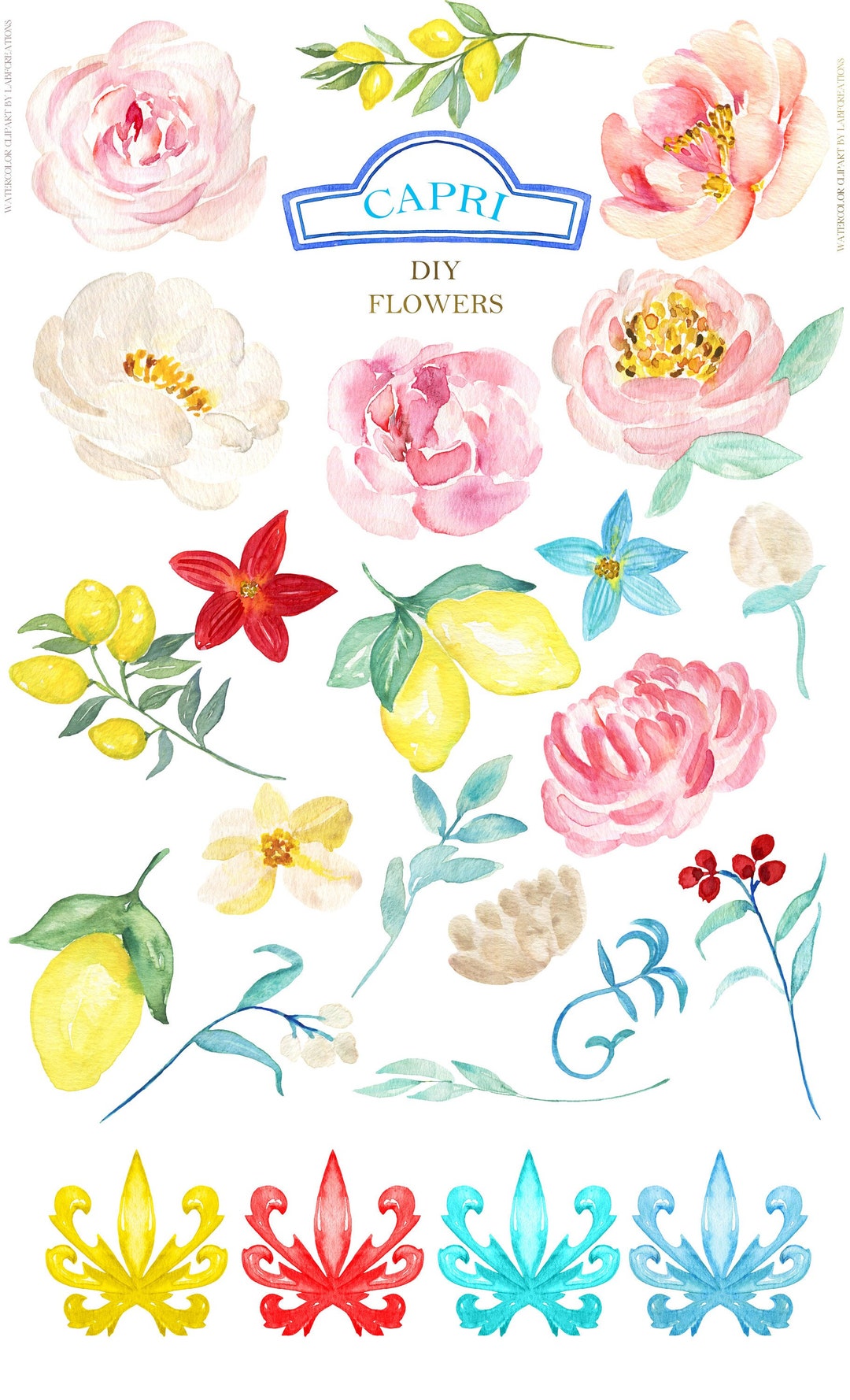 Capri Italy FLORAL Elements Diy Watercolor Clipart. Pink Flowers - Etsy