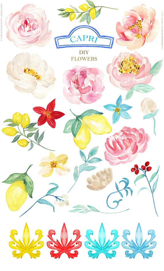 Capri Italy FLORAL Elements Diy Watercolor Clipart. Pink - Etsy