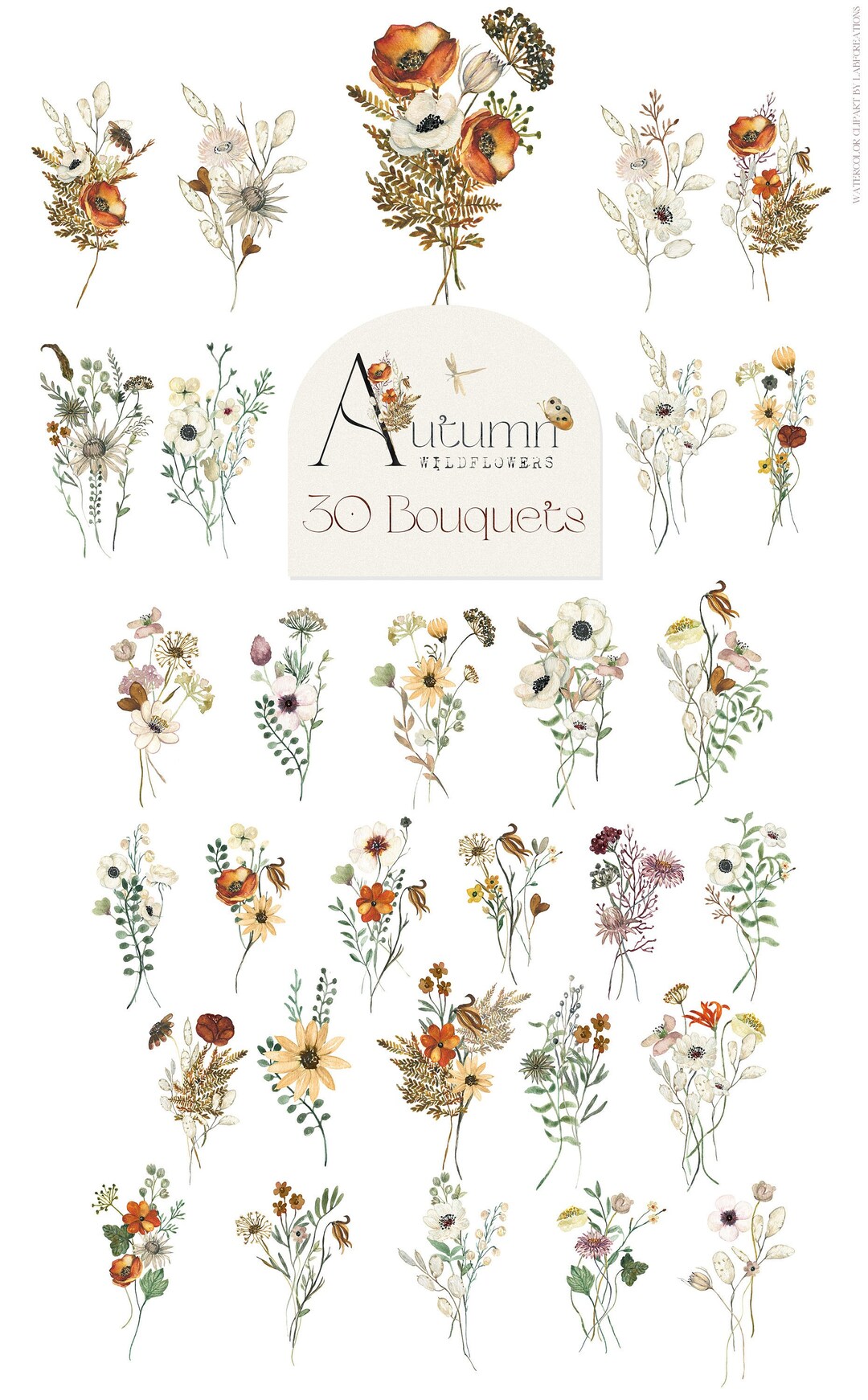 Autumn Wildflowers. 30 Bouquets. Rust Beige Fall FLOWERS. Watercolor ...