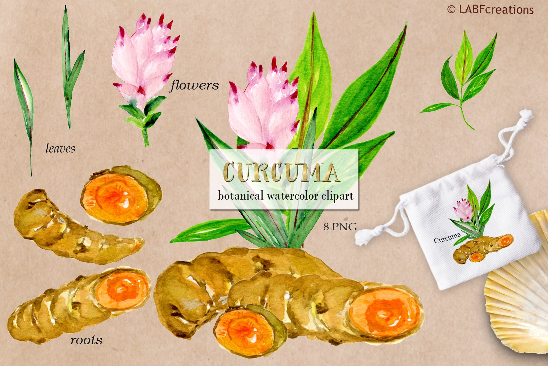 Curcuma , Turmeric Watercolor Clipart, hand painted. Watercolor clipart ...