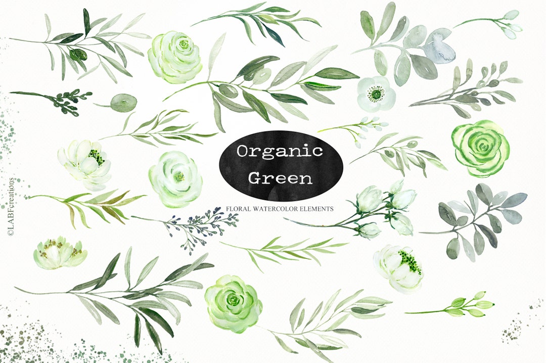 Greenery Clipart Watercolor Leaf. Organic Green. Elements. Watercolor ...