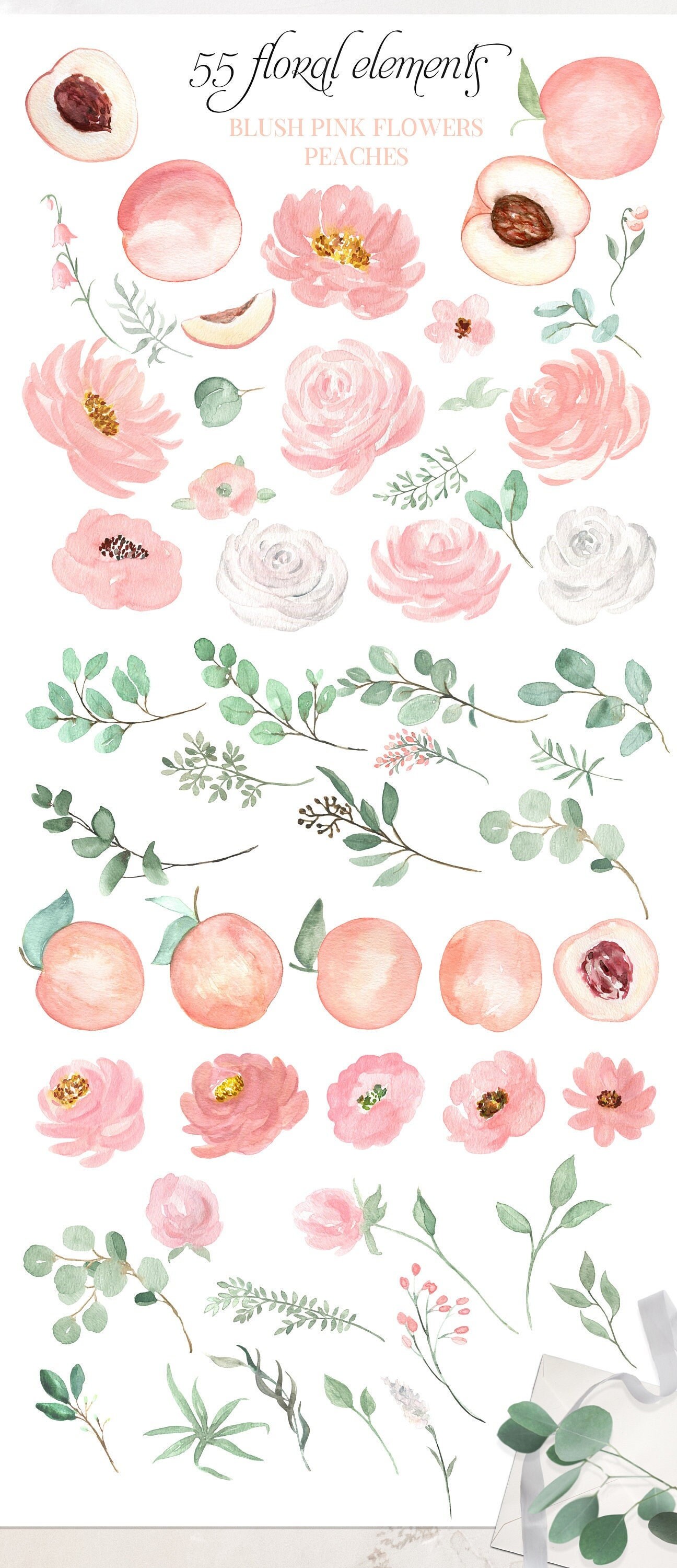 Elements Blush Pink Flowers, Peaches. Watercolor Clipart. Pink Tiles ...