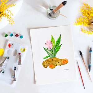 Curcuma , Turmeric Watercolor Clipart, Hand Painted. Watercolor Clipart ...
