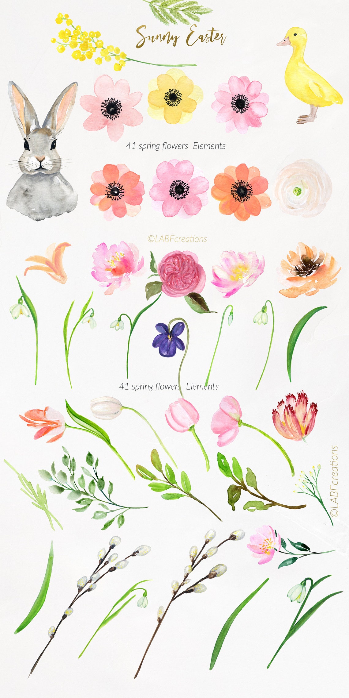 Blush Pink and Yellow Spring FLOWERS. Watercolor Bunny. Watercolor ...