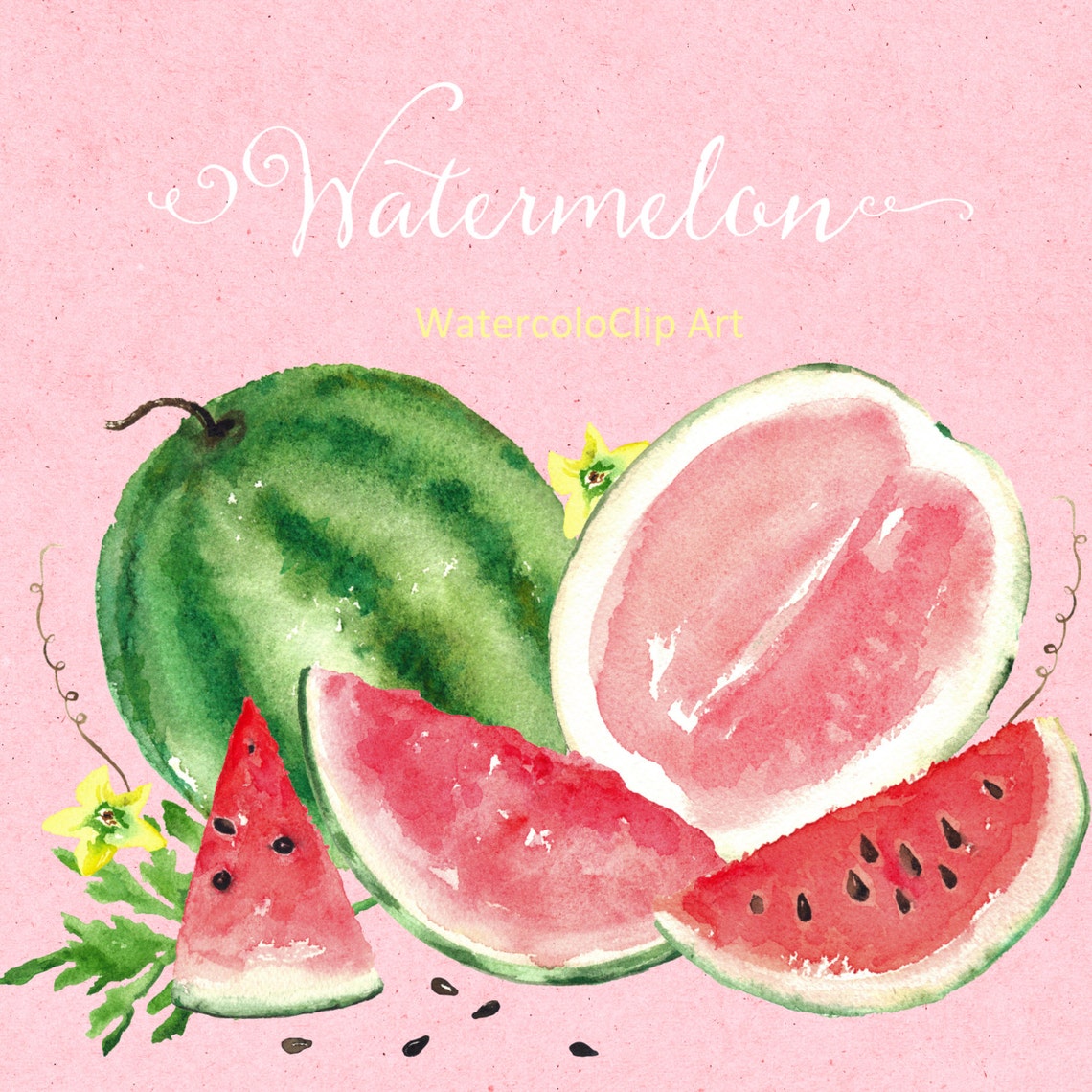Watermelon Watercolor Clipart. Digital Clipart Hand Drawn. SET ...