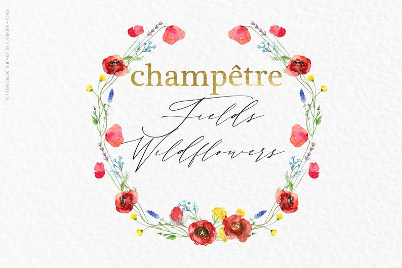 Watercolor Wildflowers. Watercolor Clipart. CHAMPETRE. Fields - Etsy
