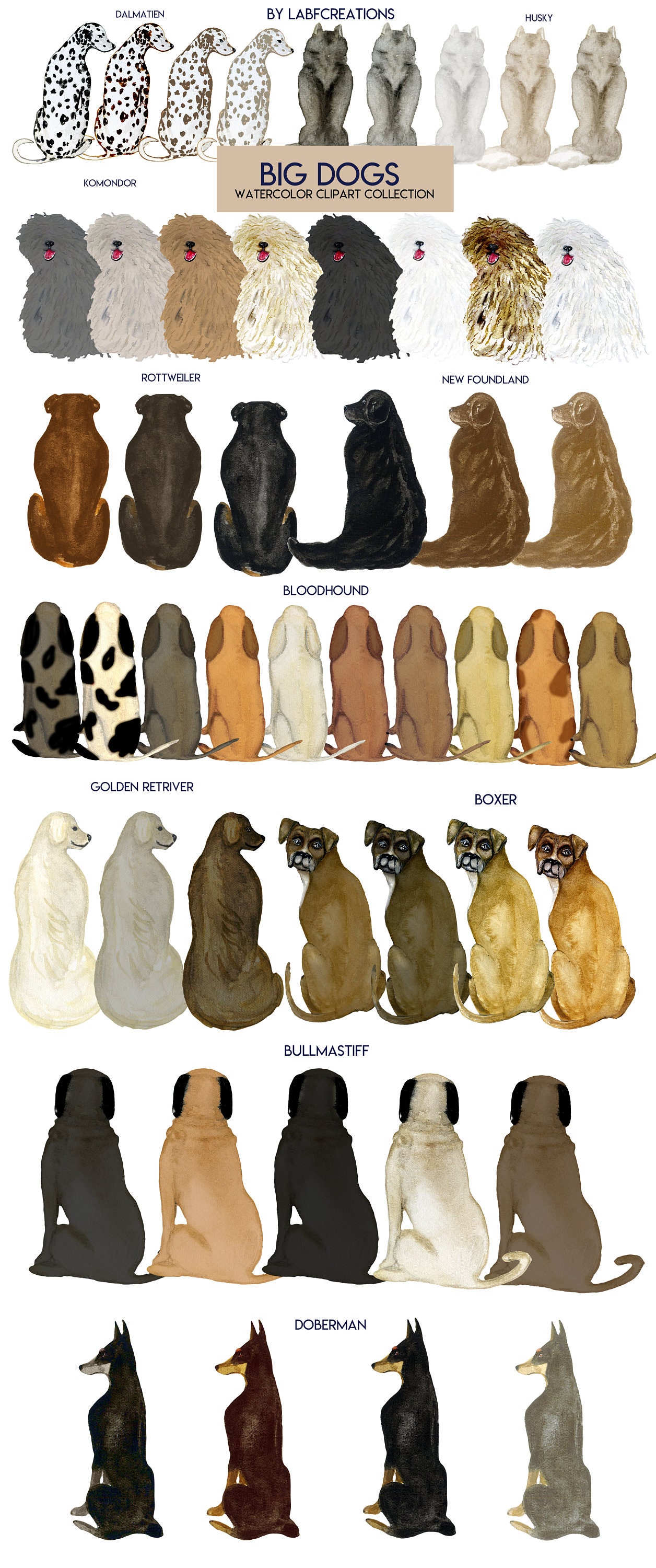 Dog Watercolor Clipart. Large Dog Breeds | Pet Clip Art. Dog Gifts ...