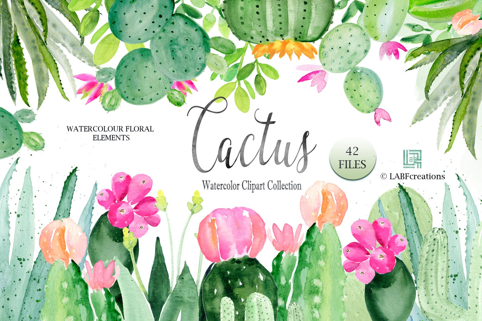 Cactus Watercolor Clipart, Hand Made.elements. Succulent. Jucie Colors ...