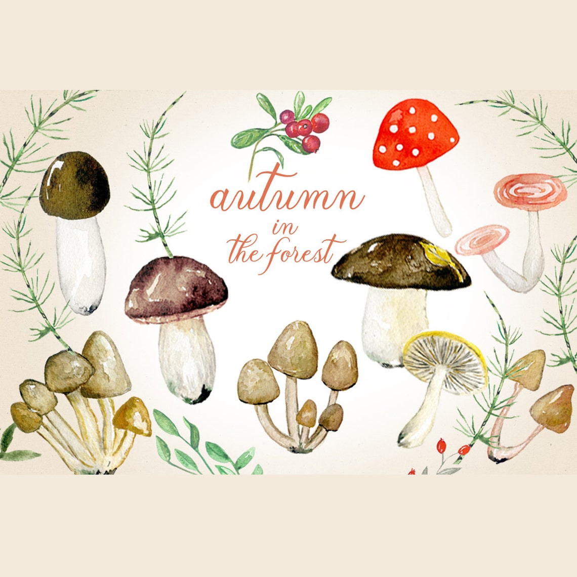 Autumn in the Forest. Watercolor Clip Art. Hedgehog Mushroom | Etsy