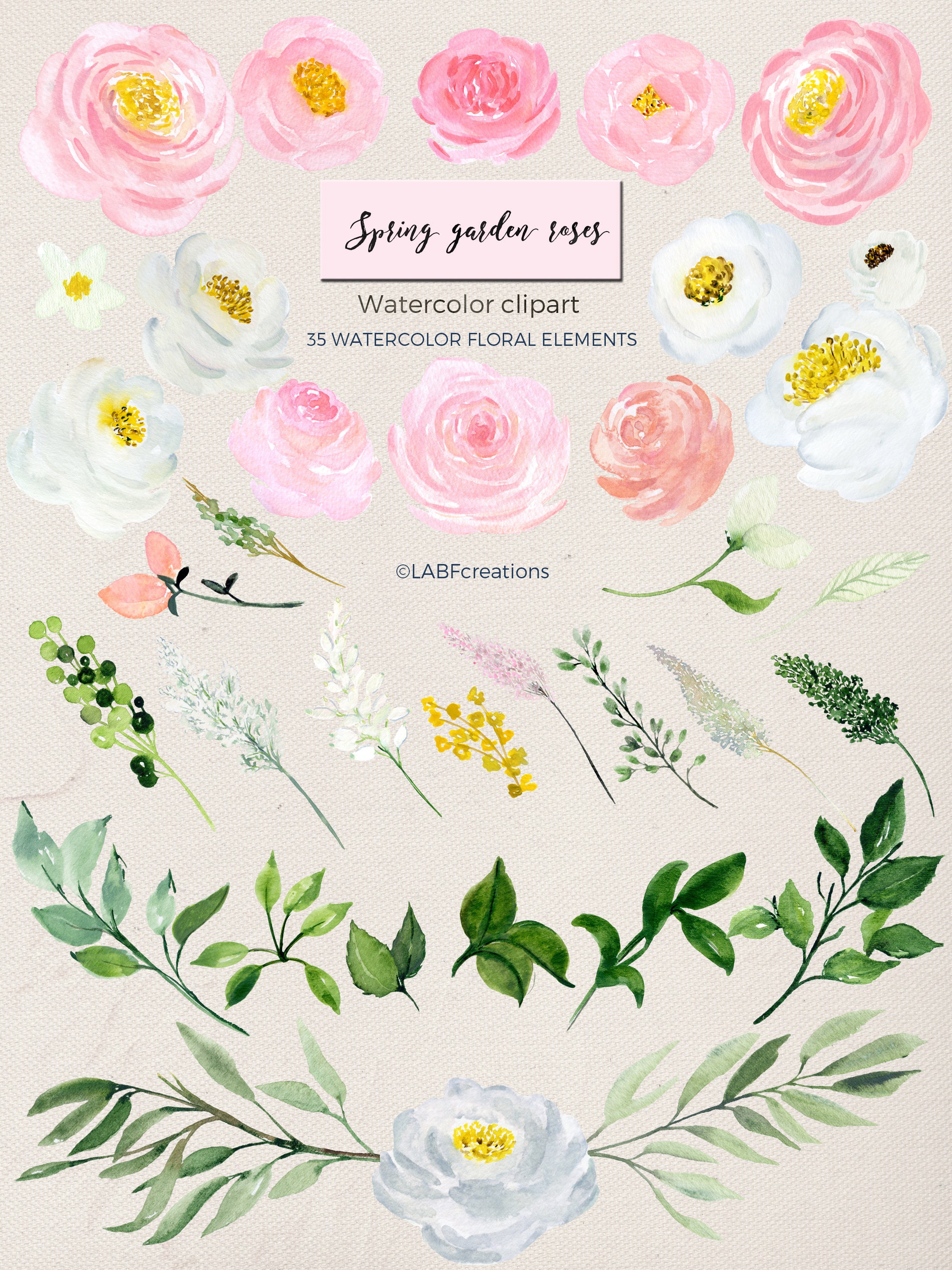 Spring Roses Garden Wedding Watercolor Clipart Bush Pink | Etsy