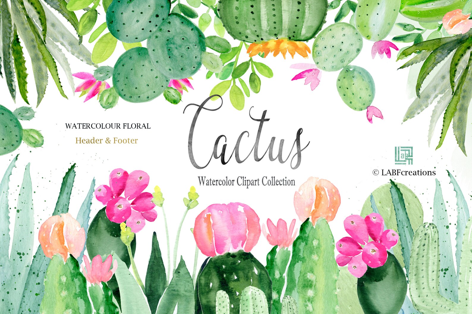 Cactus Watercolor Clipart, Hand Made. HEADER FOOTER. Succulent. Jucie ...