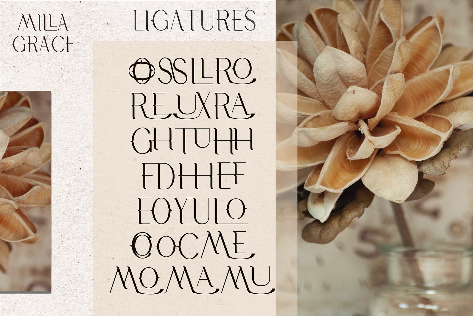Milla Grace. Modern and Classic Font. Logo Typeface. Website Typeface ...