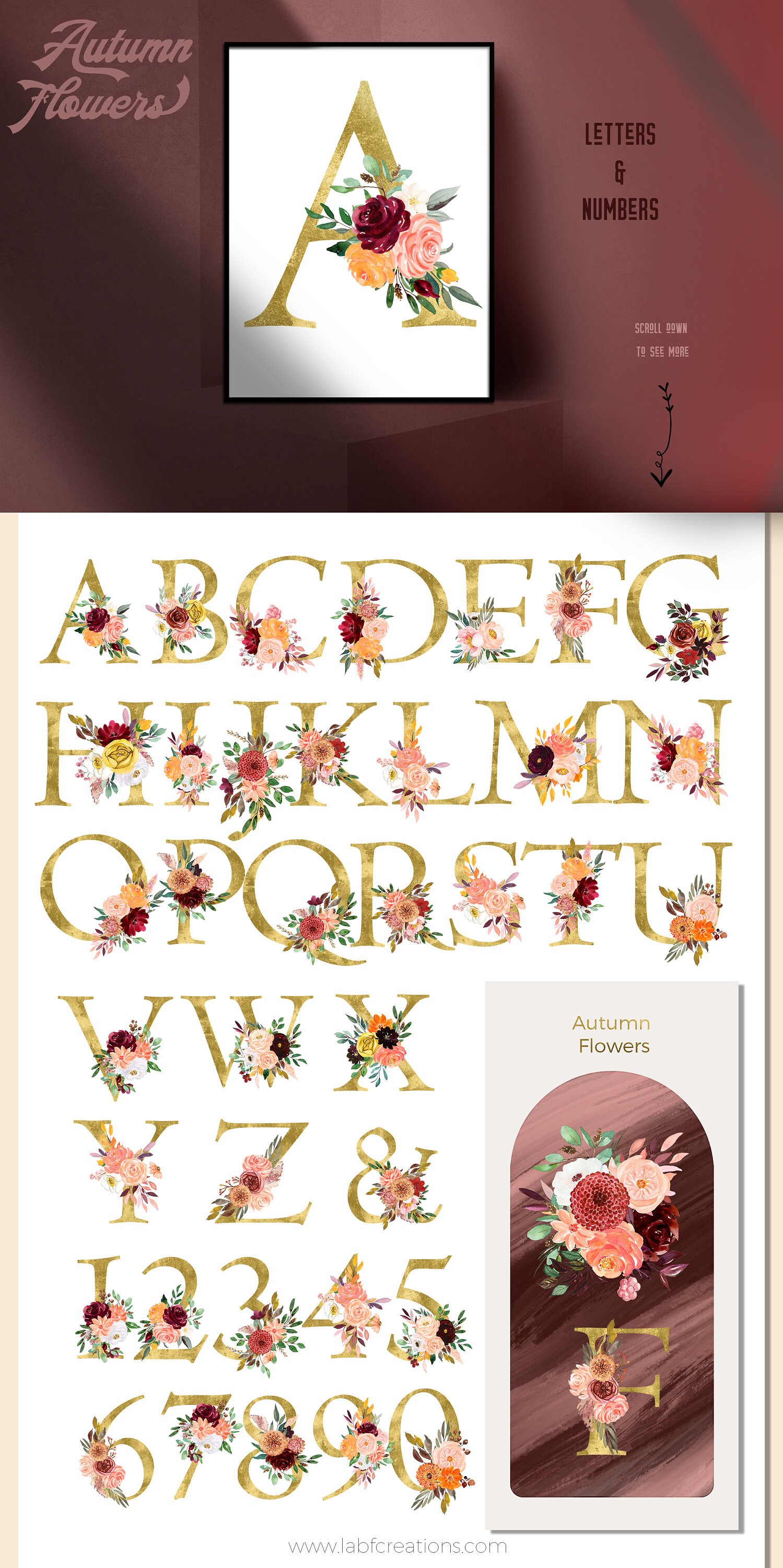 Alphabet Clipart Alphabet and Numbers Autumn Flowers | Etsy