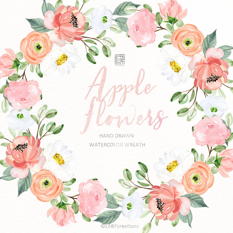 Apple Flowers Wreath. Watercolour flowers clipart hand drawn. | Etsy