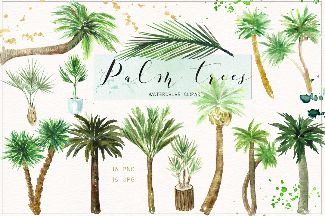 Palm TREES. Watercolor Clip Art. Digital Watercolours Clipart Hand ...