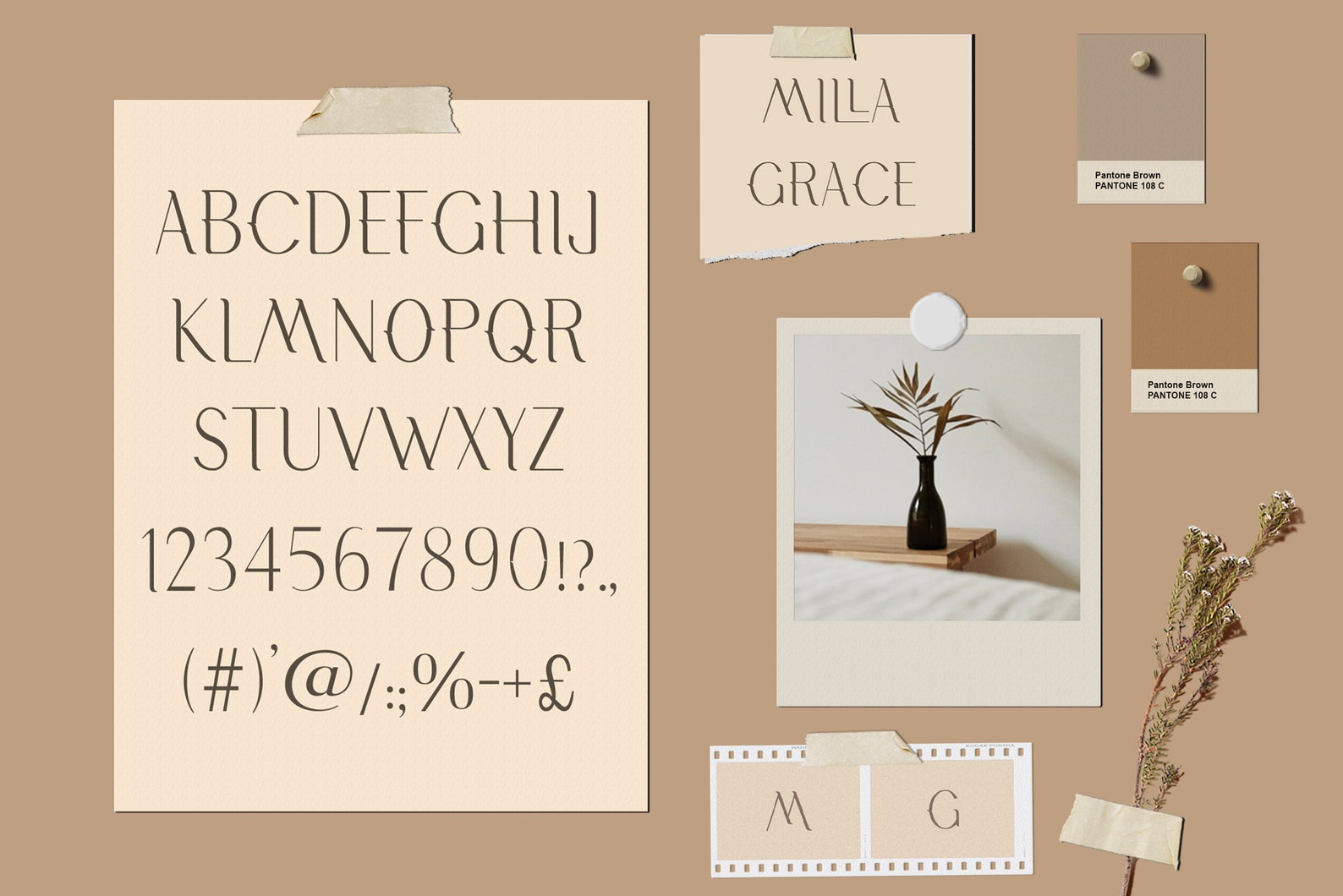 Milla Grace. Modern and Classic Font. Logo Typeface. Website Typeface ...