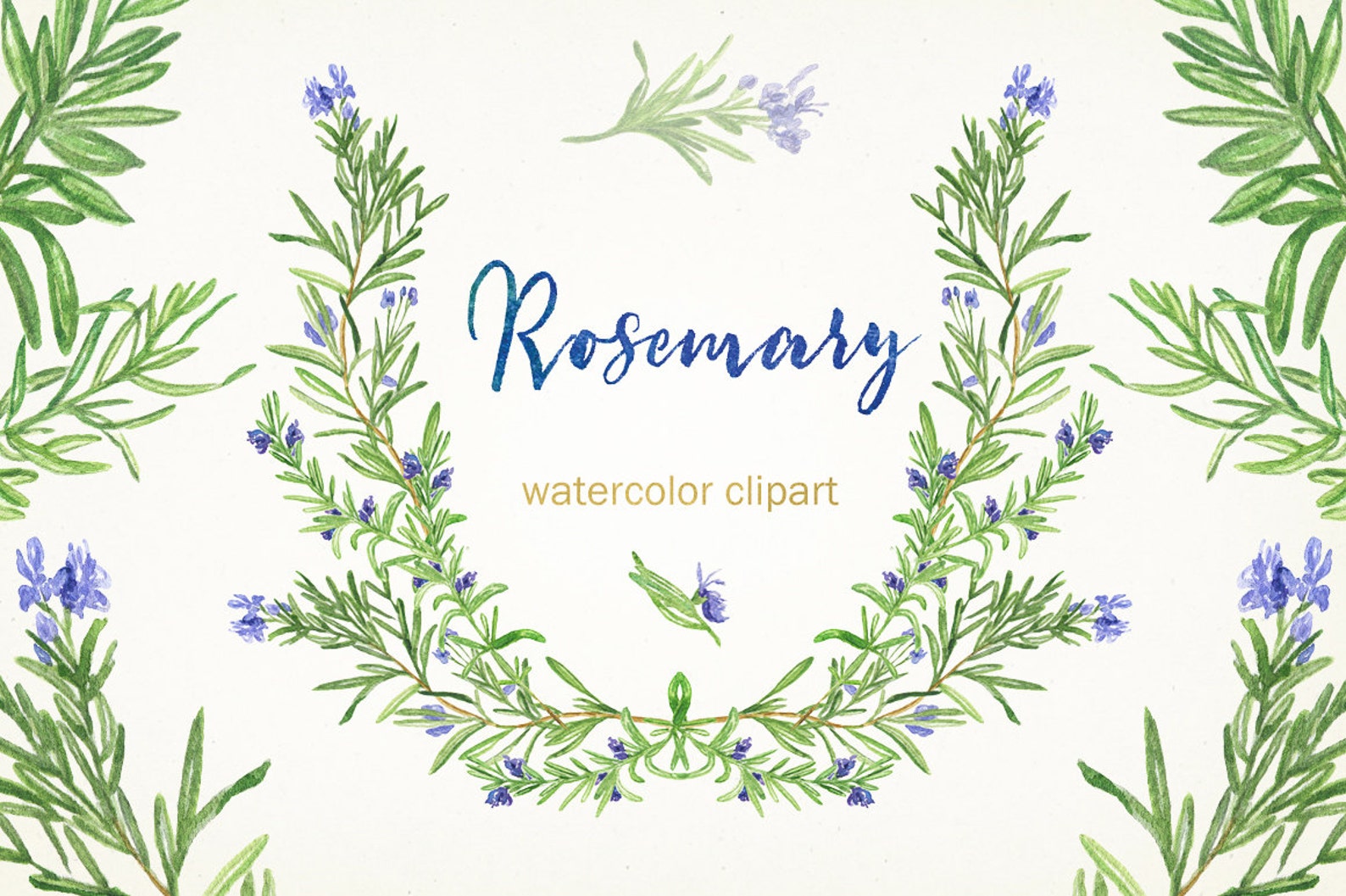Rosmarin. Aquarell Clip Art handgezeichnet. Romantische - Etsy Schweiz