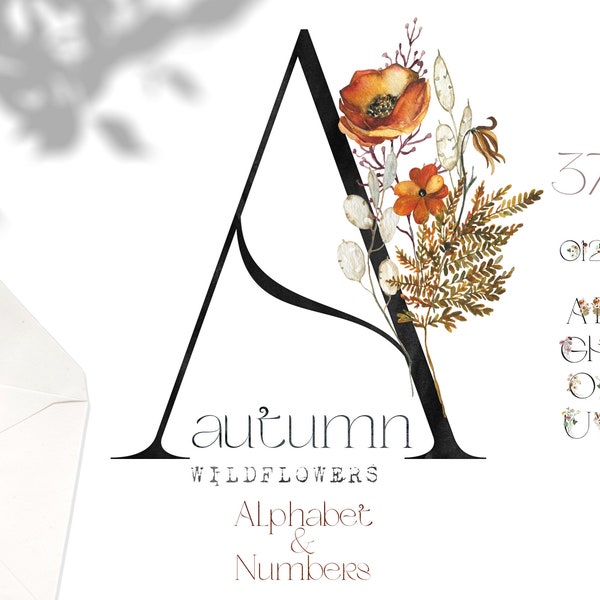 Wildflower Alphabet Clipart - Etsy