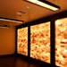 Himalayan Salt Ceiling Panel Light Wall Sconce Please Read Description ...