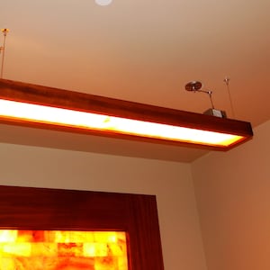 Himalayan Salt Ceiling Panel Light Wall Sconce Please Read Description ...