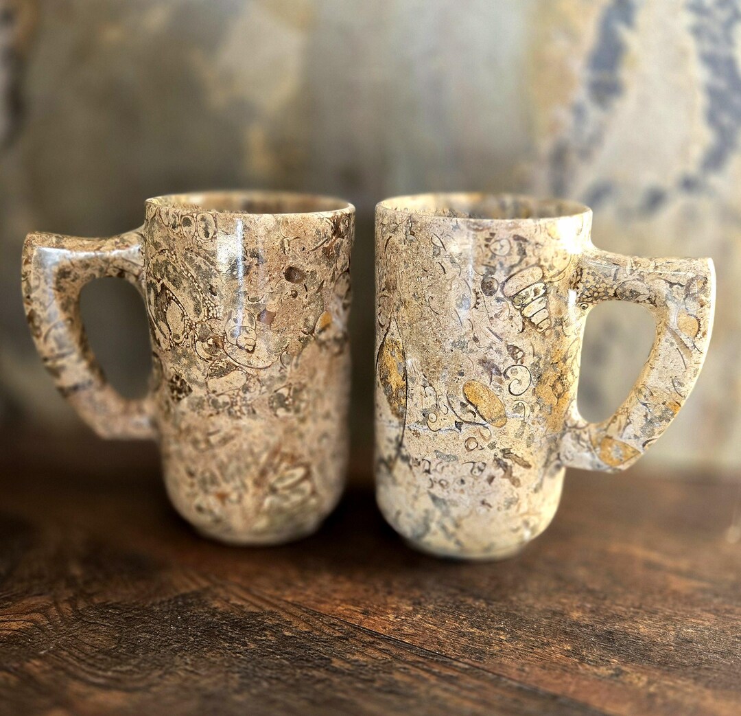 Solid Fossil Limestone Beer Mugs Coffee Mugs Rock Lover Gift - Etsy