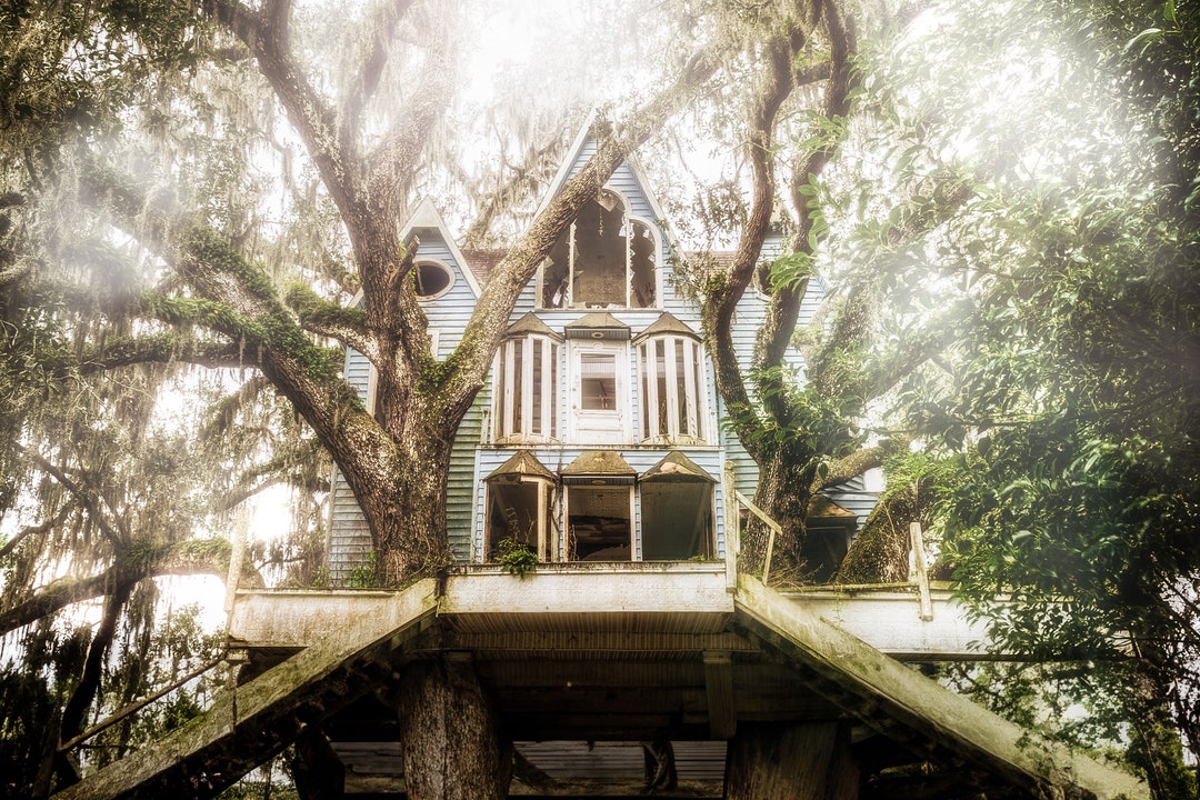 Abandoned Fantasy Tree House, Victorian Style. Urban Decay, Dystopian ...