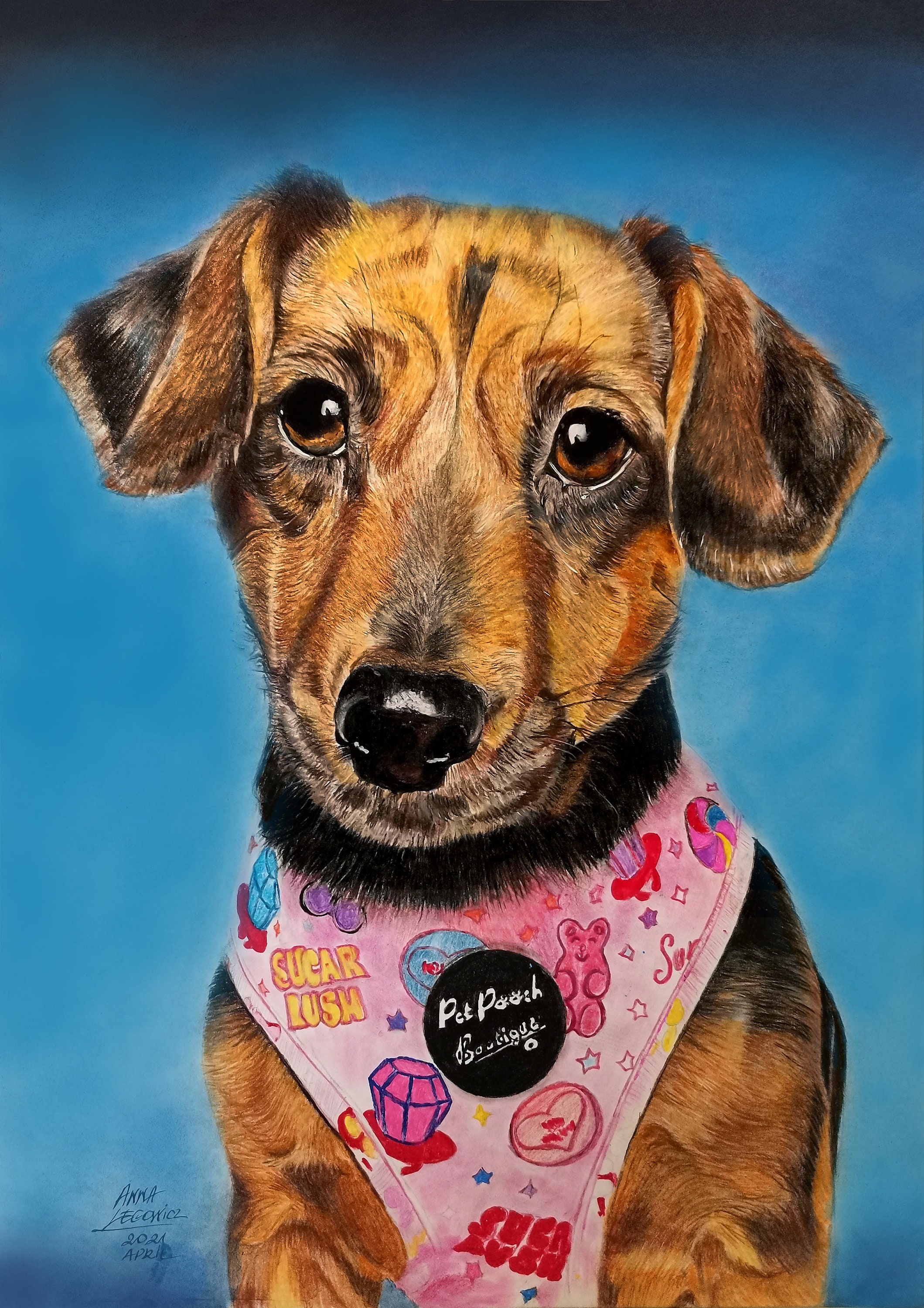 Custom Animal Drawing by Using Pit Pastel Pencils Faber - Etsy